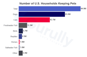 Bar Graph PTE Describe Image - Tips, Templates & Examples