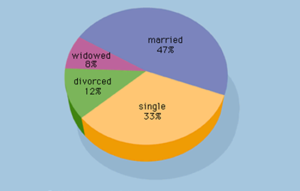 Describe Image PTE Pie Chart with Sample Answer & Template